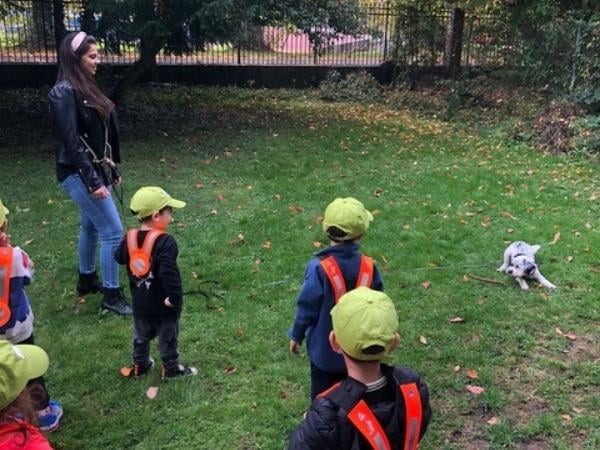Meet our new team member «Nala», School Dog at Pre-School